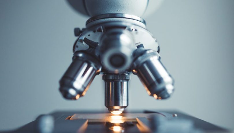 Comparatif microscopes : guide d’achat en août 2025