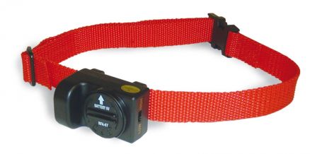 Collier anti-aboiement : quel modèle choisir ? en décembre 2025