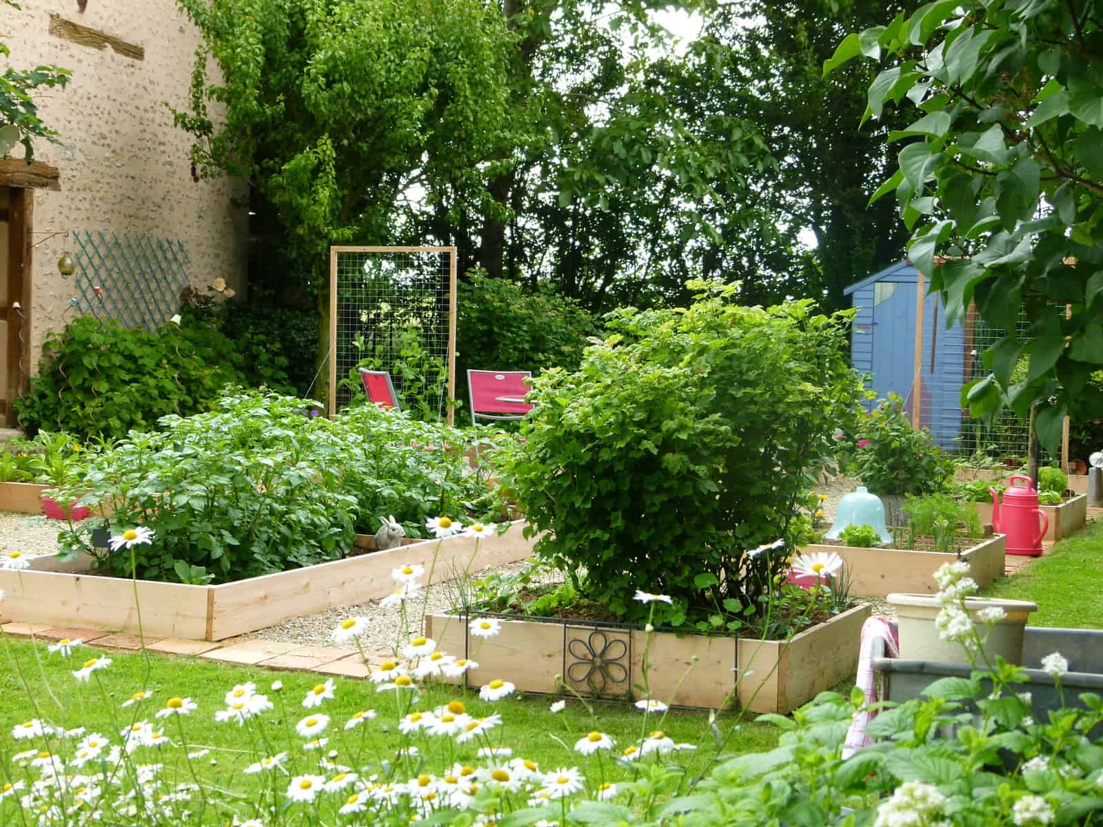 Comment faire son potager à la maison ? en février 2025