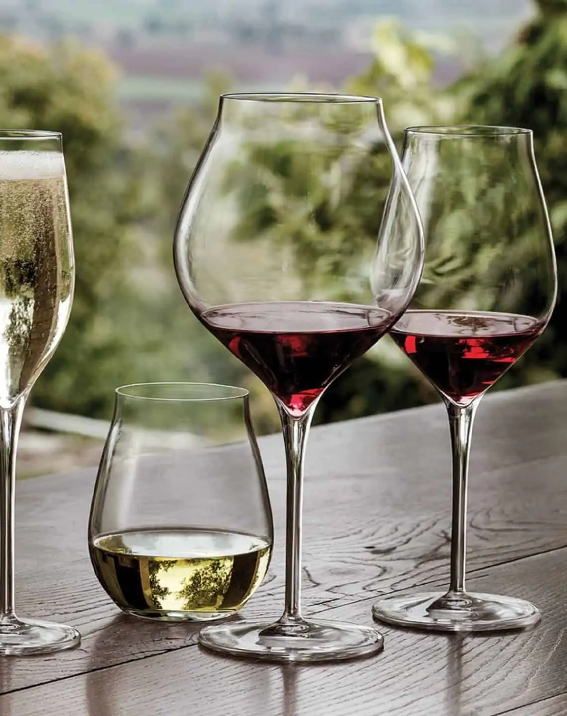 Verre à vin : quel modèle choisir ? en octobre 2025